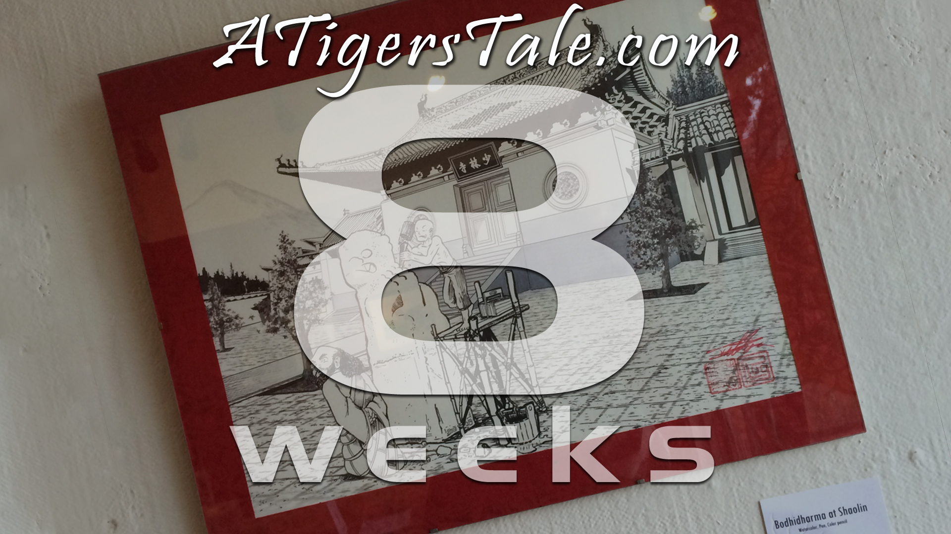 YoTT_8 – A Tiger's Tale